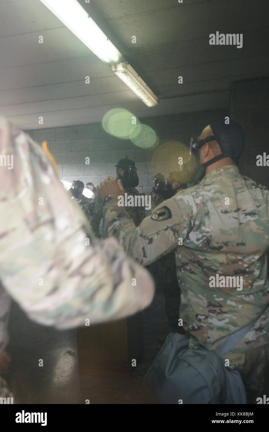 U.S. Soldiers with 650th Military Intelligence Group perform body ...