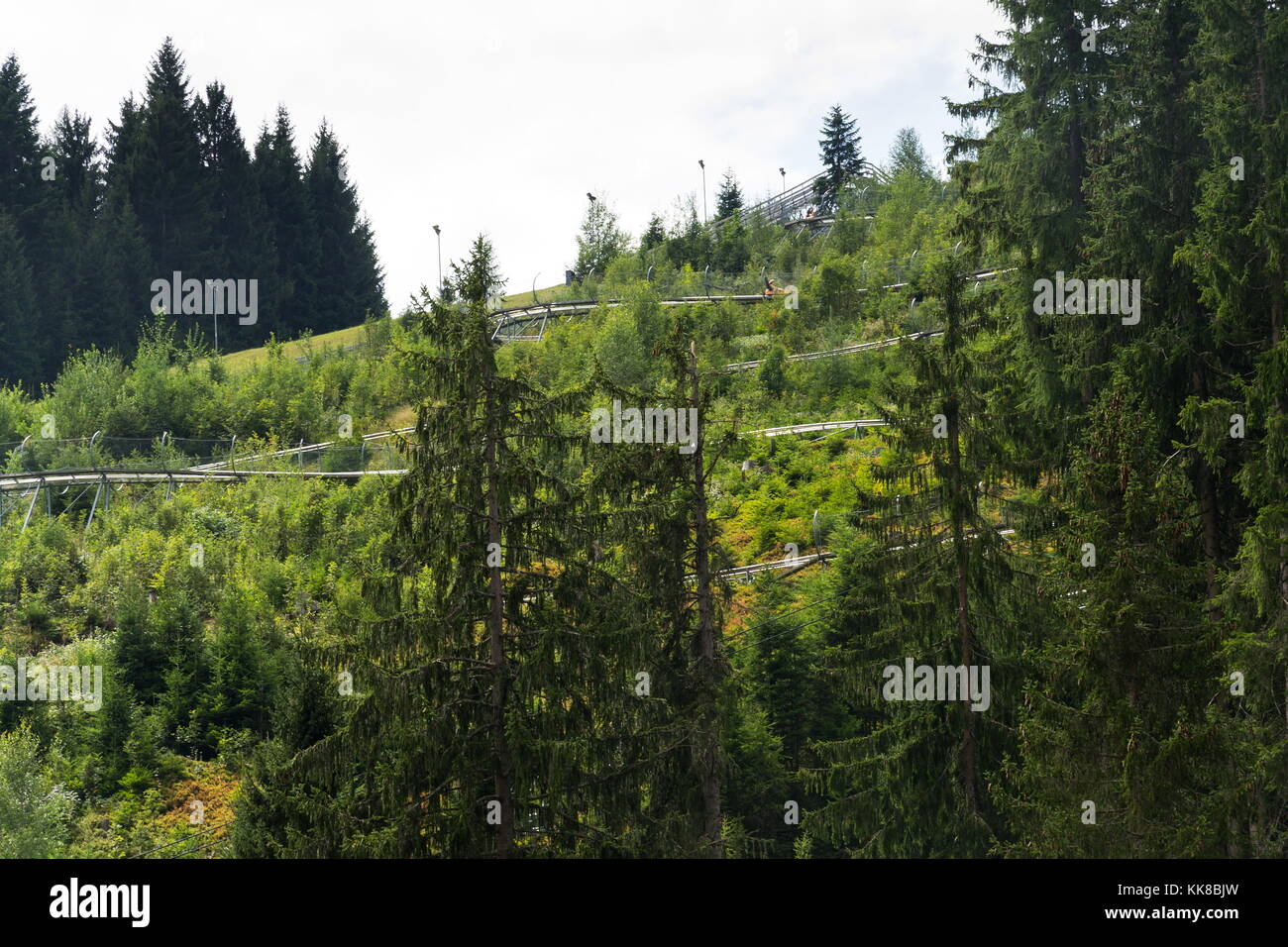 Bobsled Roller Coaster Toboggan in summer day, Rittisberg, Alps ...