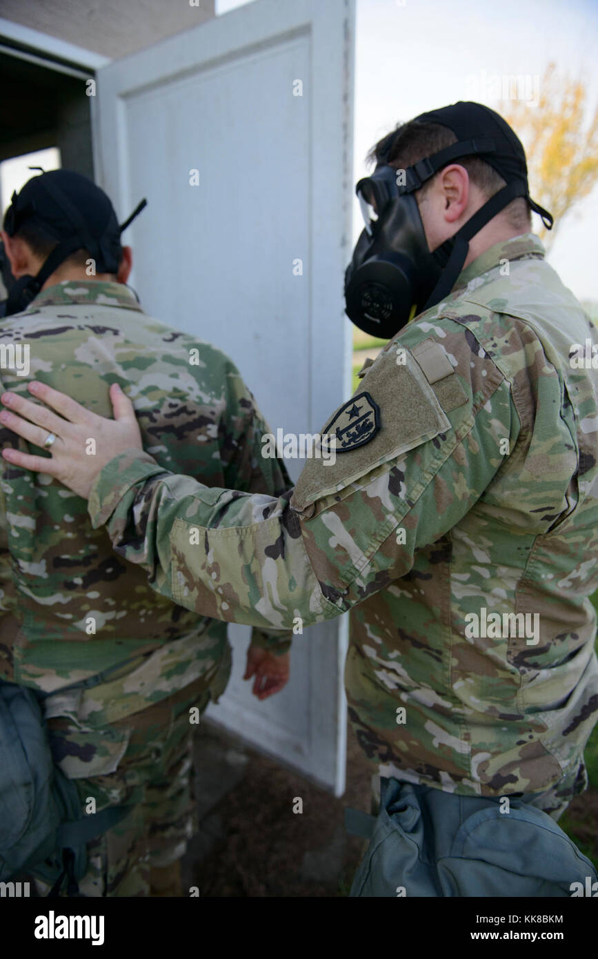 U.S. Soldiers with 650th Military Intelligence Group and Allied Forces ...