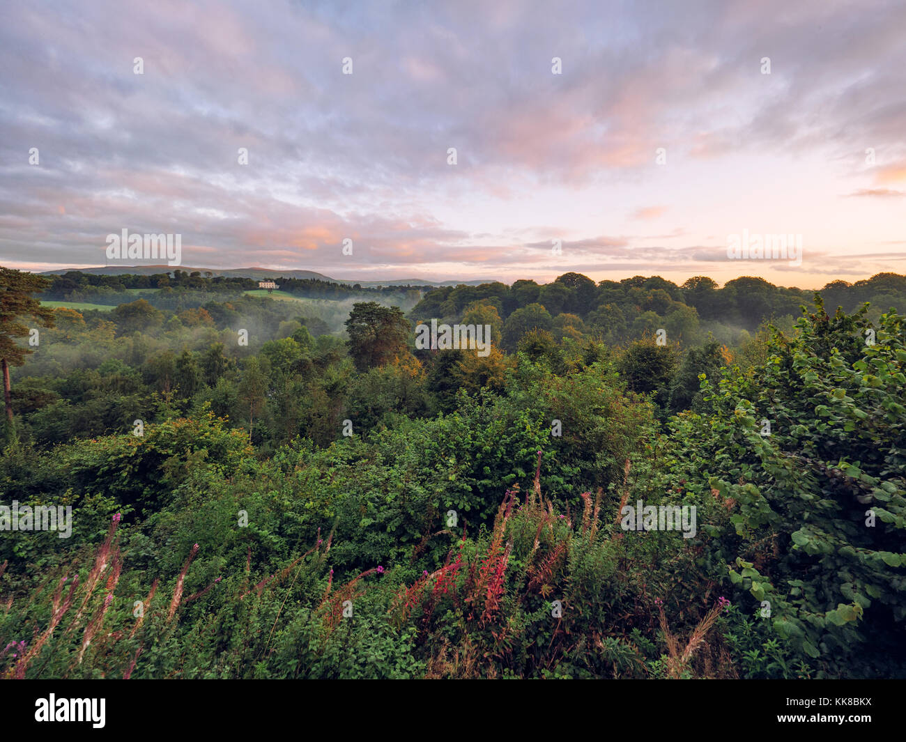 Early Autumn countryside morning,Northern Ireland Stock Photo - Alamy