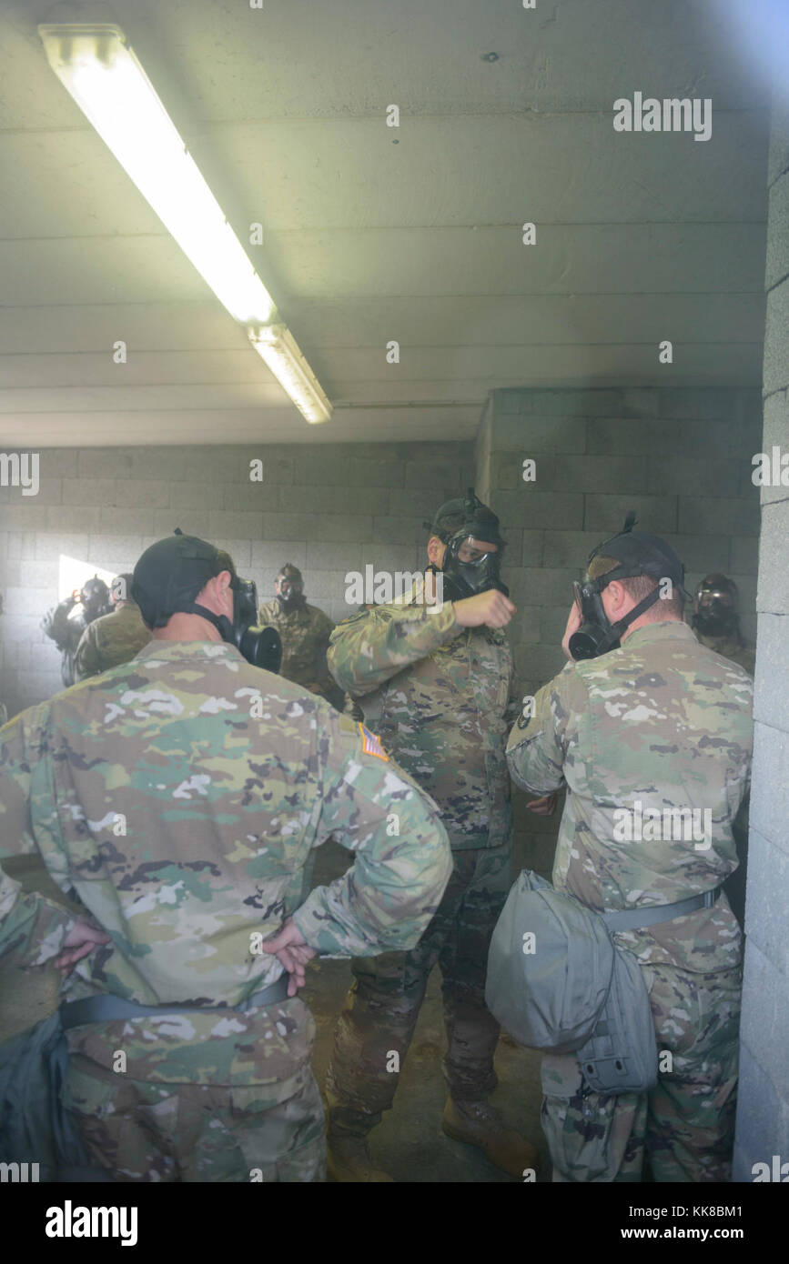 An instructor, a U.S. Soldier with 650th Military Intelligence Group ...