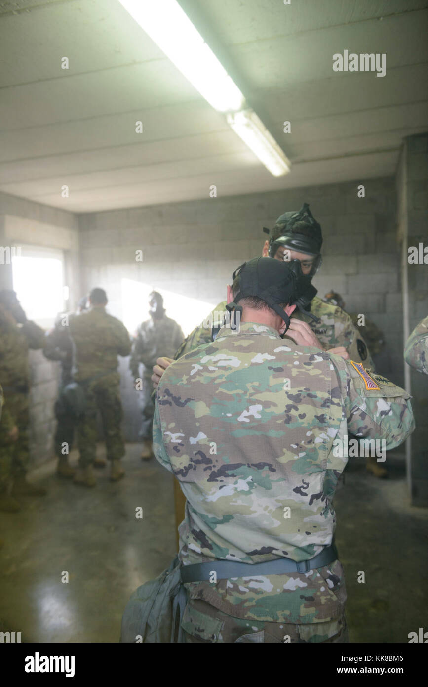 U.S. Soldiers with 650th Military Intelligence Group check their M50 ...
