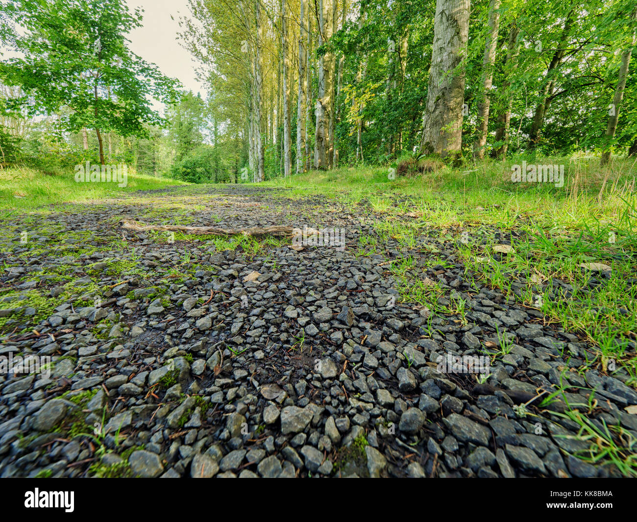 Early Autumn countryside morning,Northern Ireland Stock Photo - Alamy