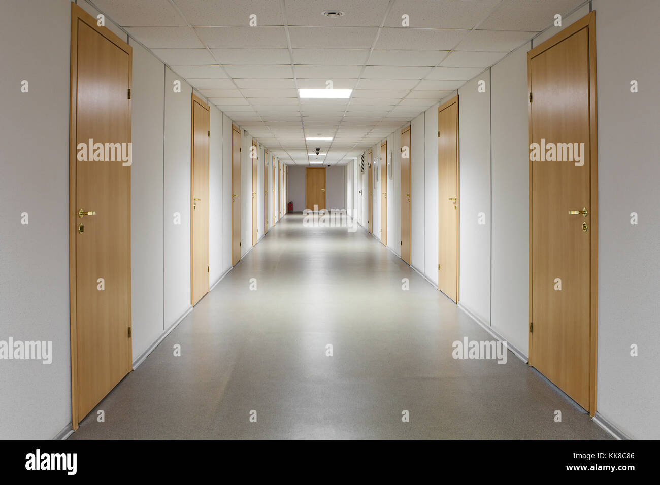 Long office hallway with a lot of yellow wooden doors Stock Photo - Alamy