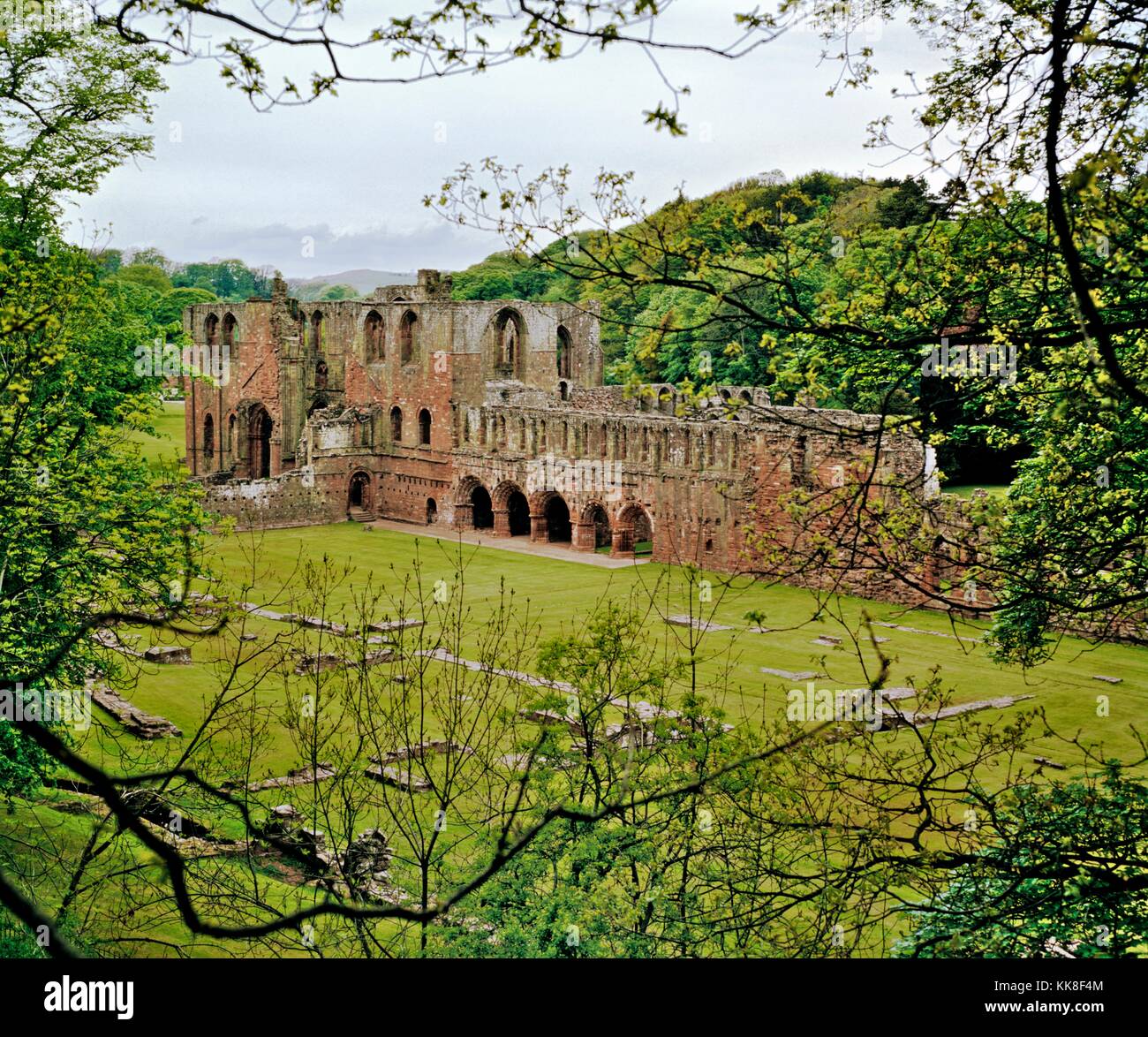 Furness Abbey near Barrow-in-Furness, Cumbria, England. Ruined red ...