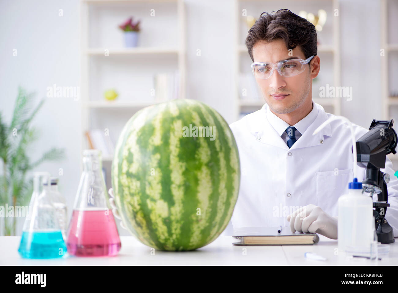 Scientist testing watermelon in lab Stock Photo - Alamy