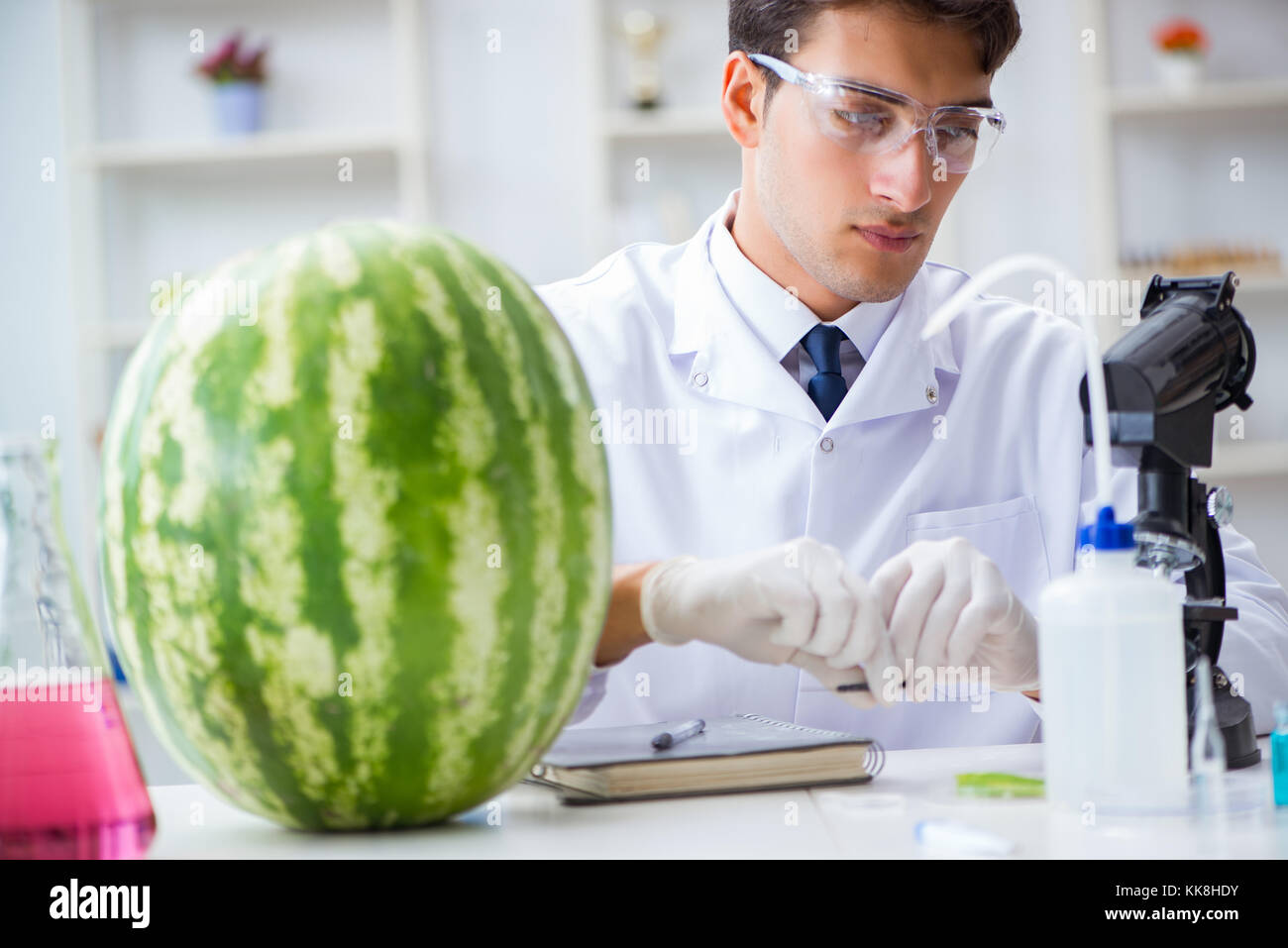 Scientist testing watermelon in lab Stock Photo - Alamy