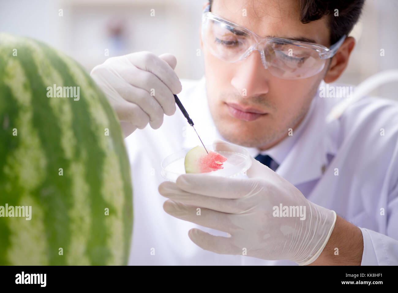 Scientist testing watermelon in lab Stock Photo - Alamy