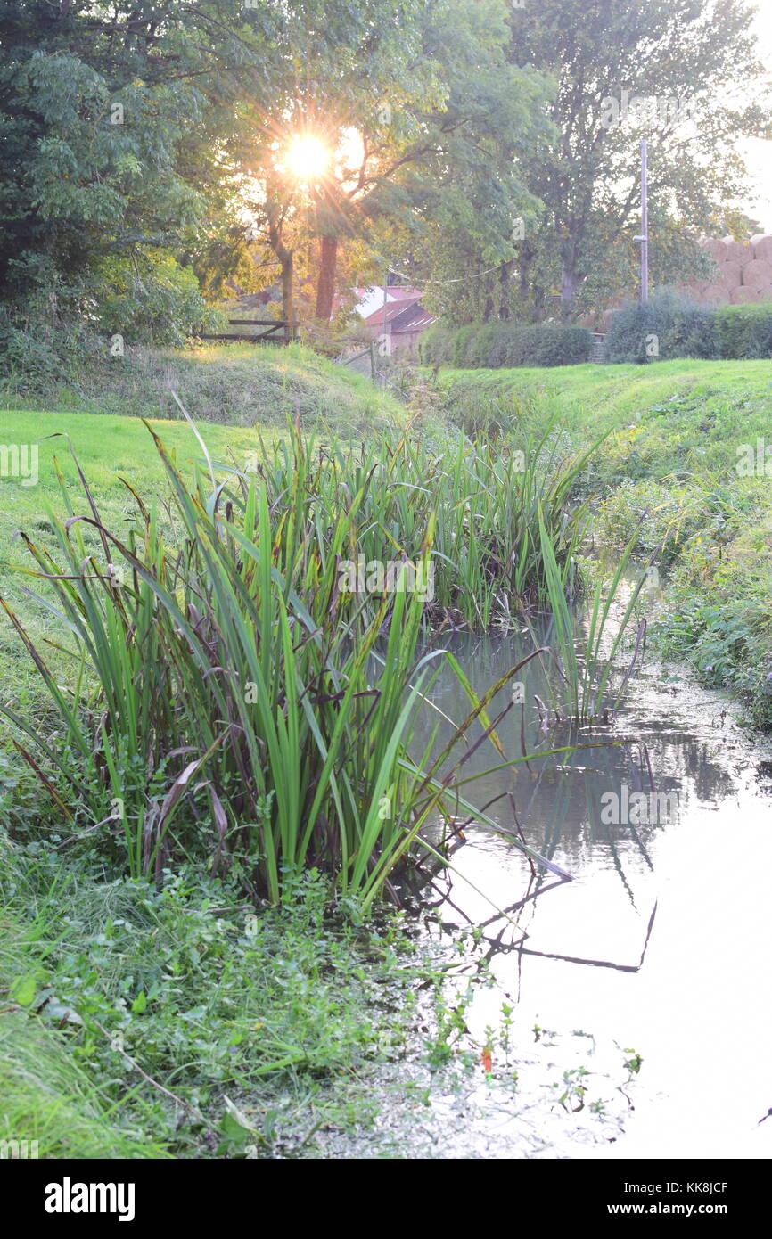 Sunset at Scorborough, East Yorkshire village, UK Stock Photo - Alamy