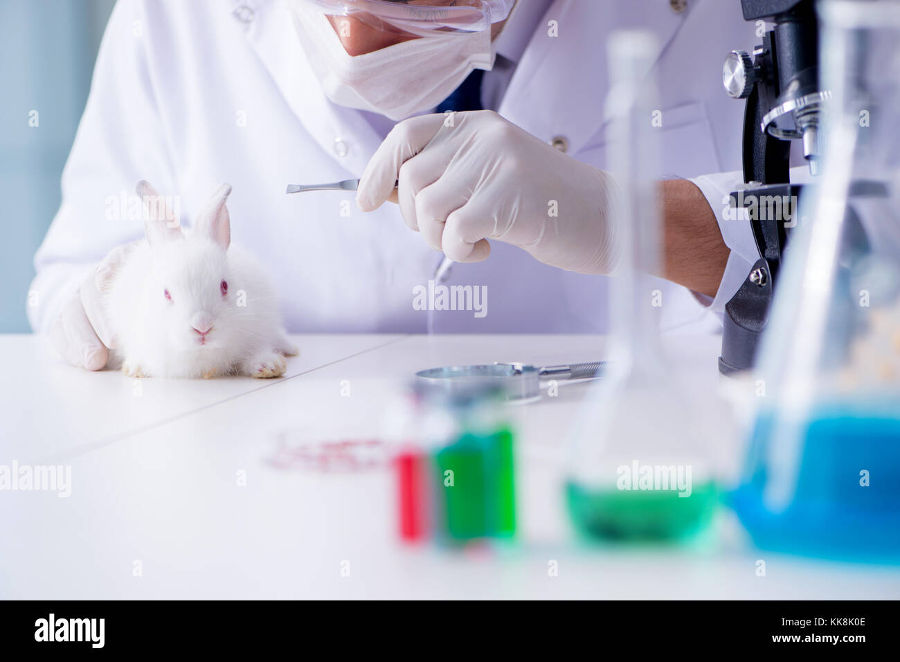 Vet doctor examining rabbit in pet hospital Stock Photo - Alamy