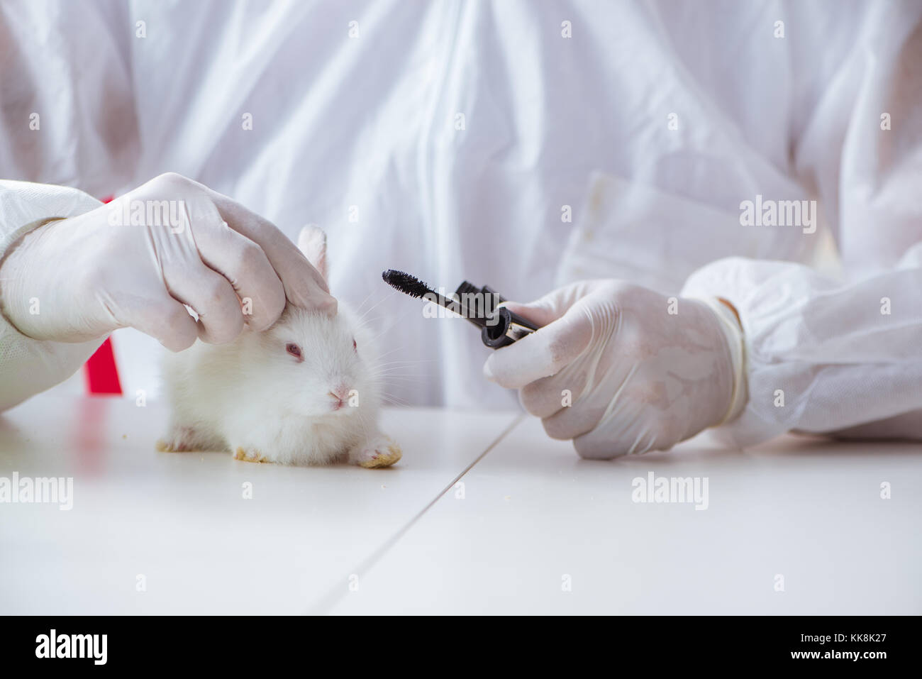 White rabbit in scientific lab experiment Stock Photo - Alamy