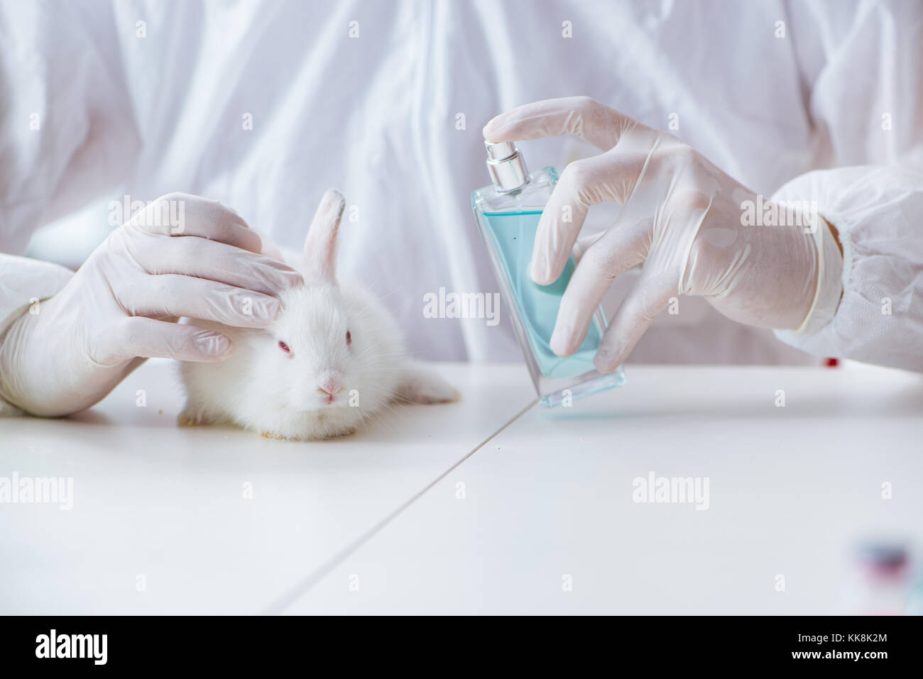 White rabbit in scientific lab experiment Stock Photo - Alamy