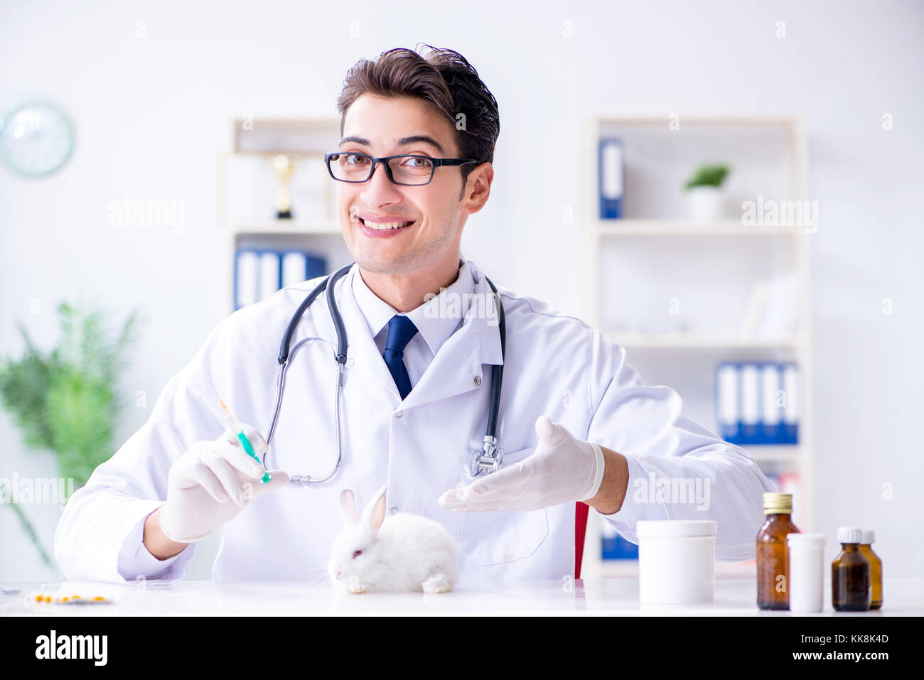 Vet doctor examining rabbit in pet hospital Stock Photo - Alamy