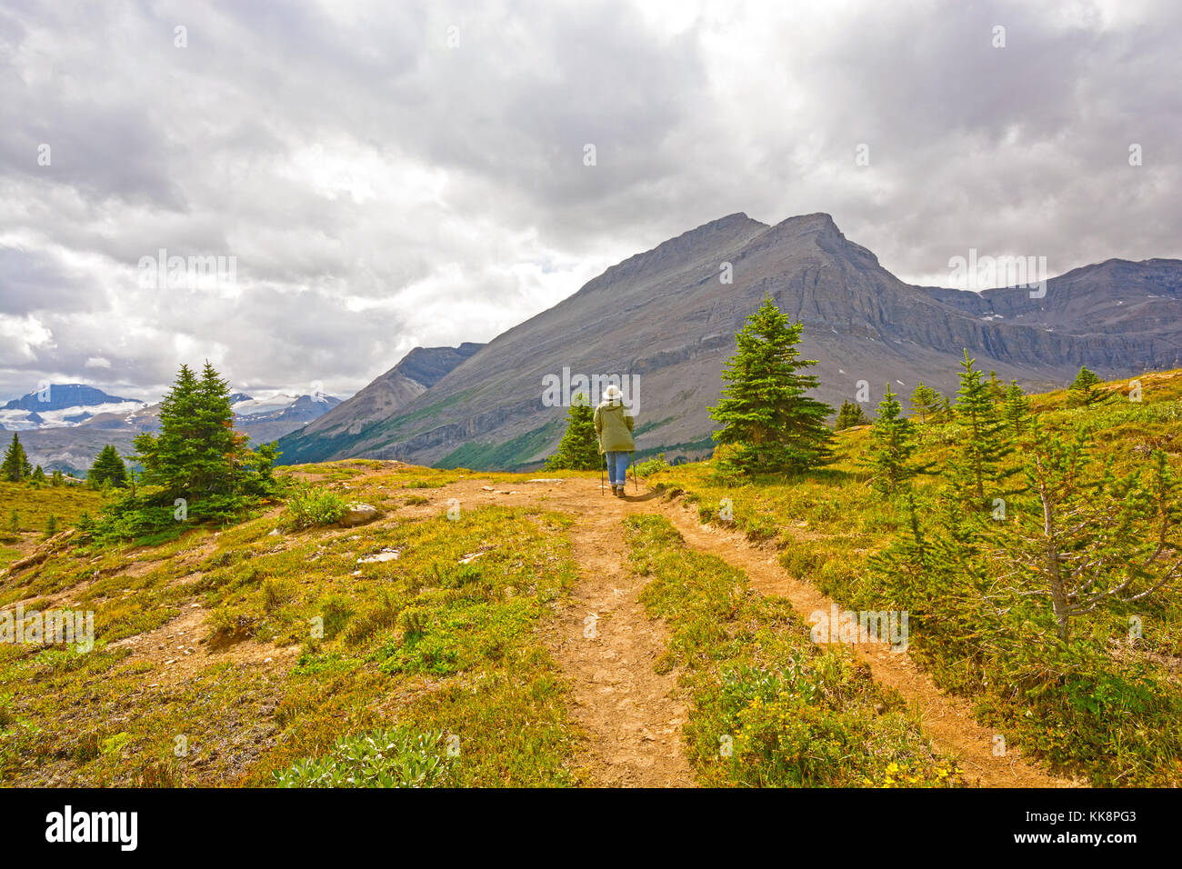 Hiker Near Nigel Pass in the Canadian Rockies Stock Photo - Alamy