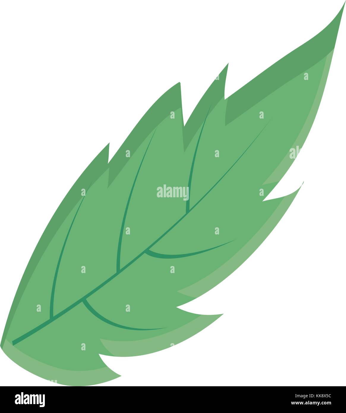leaf vector illustration Stock Vector Image & Art - Alamy