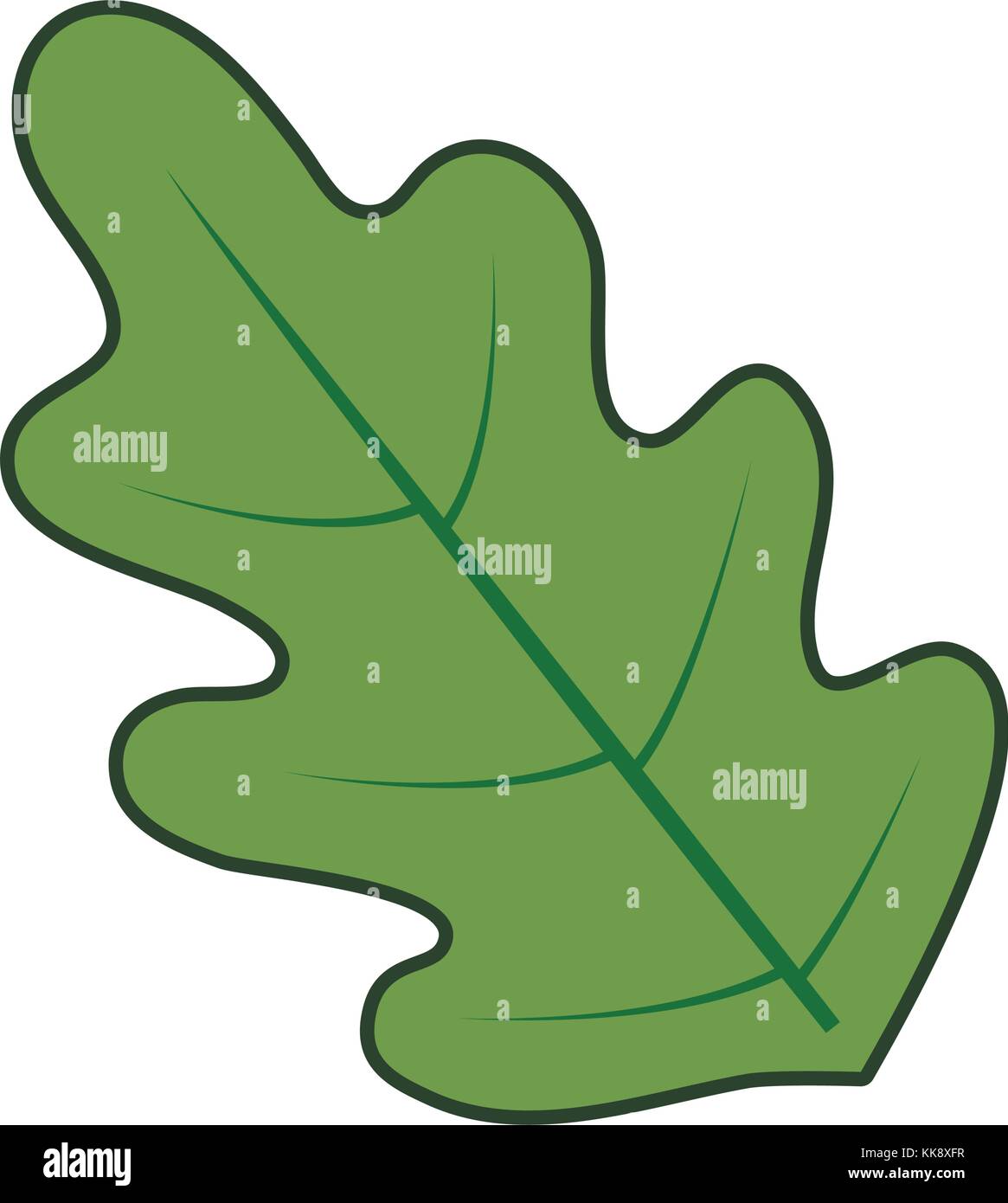 leaf vector illustration Stock Vector Image & Art - Alamy