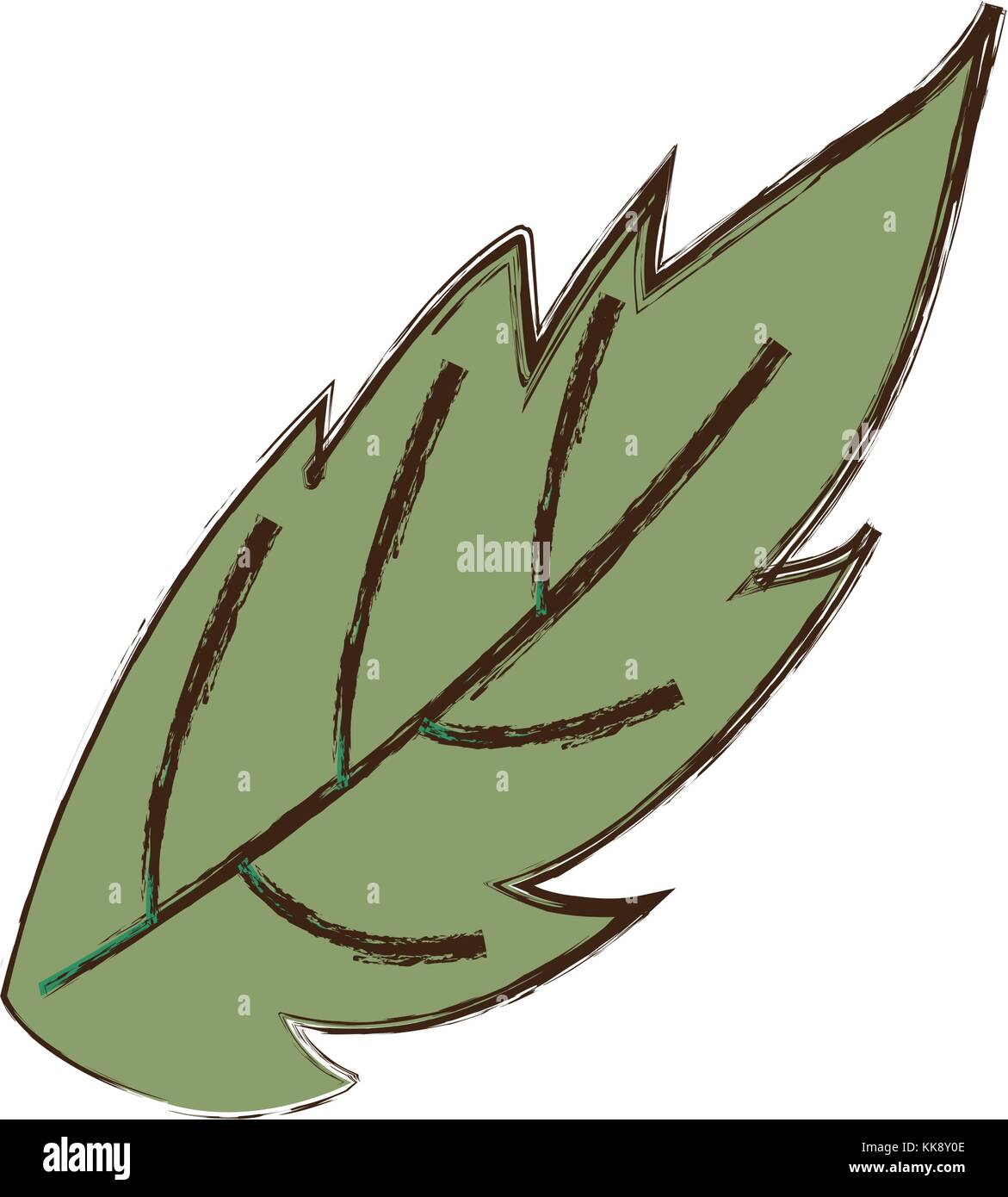 leaf vector illustration Stock Vector Image & Art - Alamy