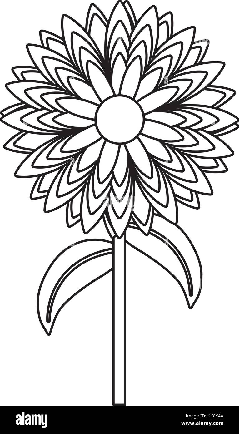 flower stem vector illustration Stock Vector Image & Art - Alamy