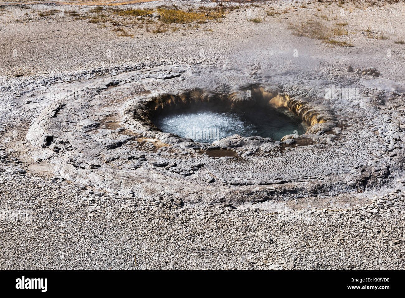 Beach geyser hi-res stock photography and images - Alamy