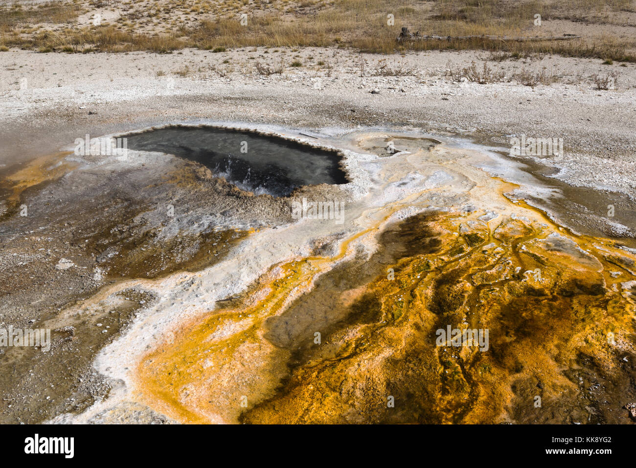 Ear Spring Thermal Feature in the Upper Geyser Basin, Yellowstone ...