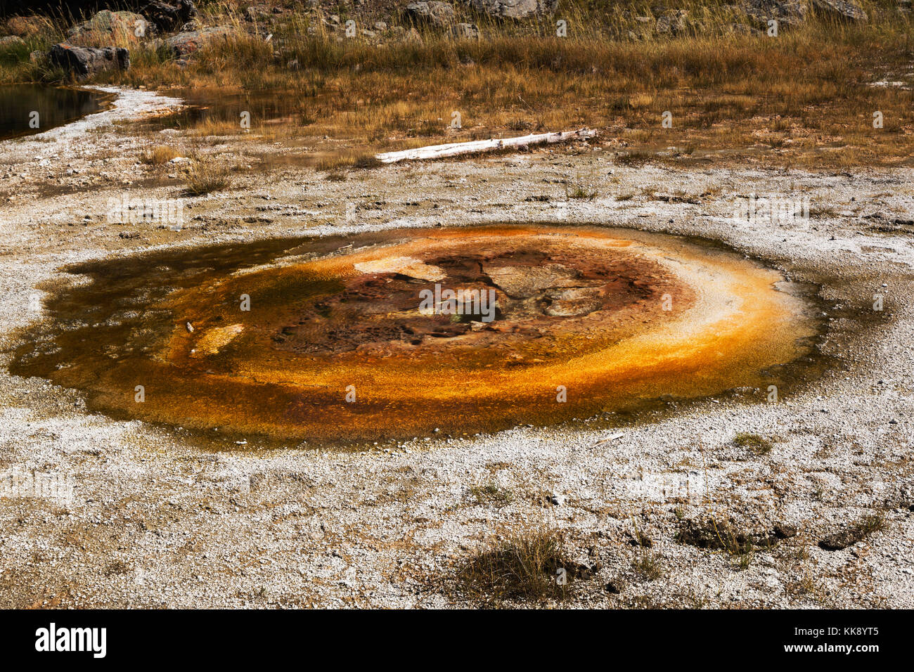 Economic Geyser Thermal Feature in the Upper Geyser basin, Yellowstone ...