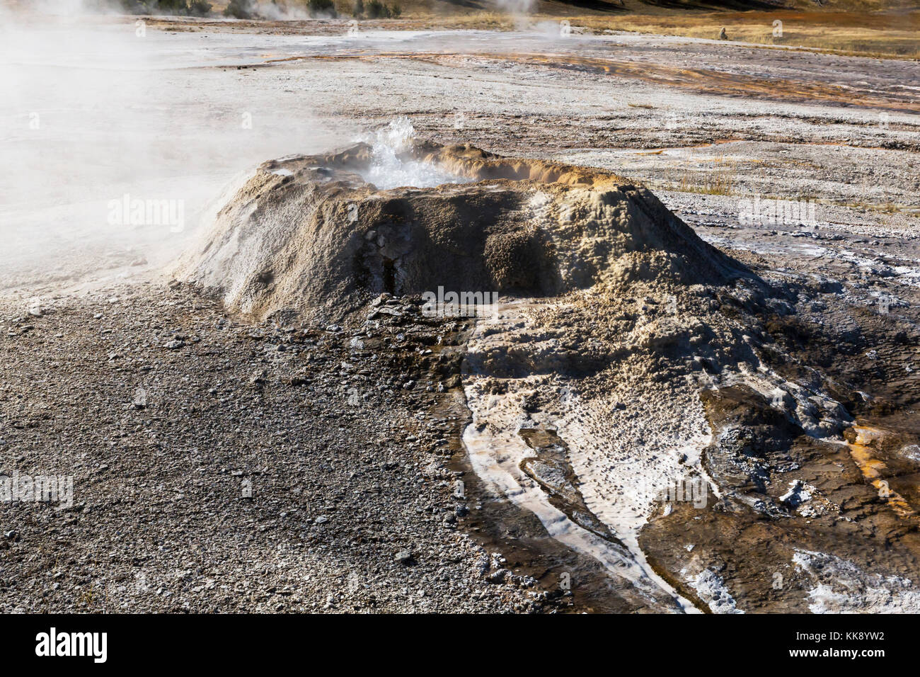 Sponge Geyser Thermal Feature erupting in Upper Geyser Basin ...