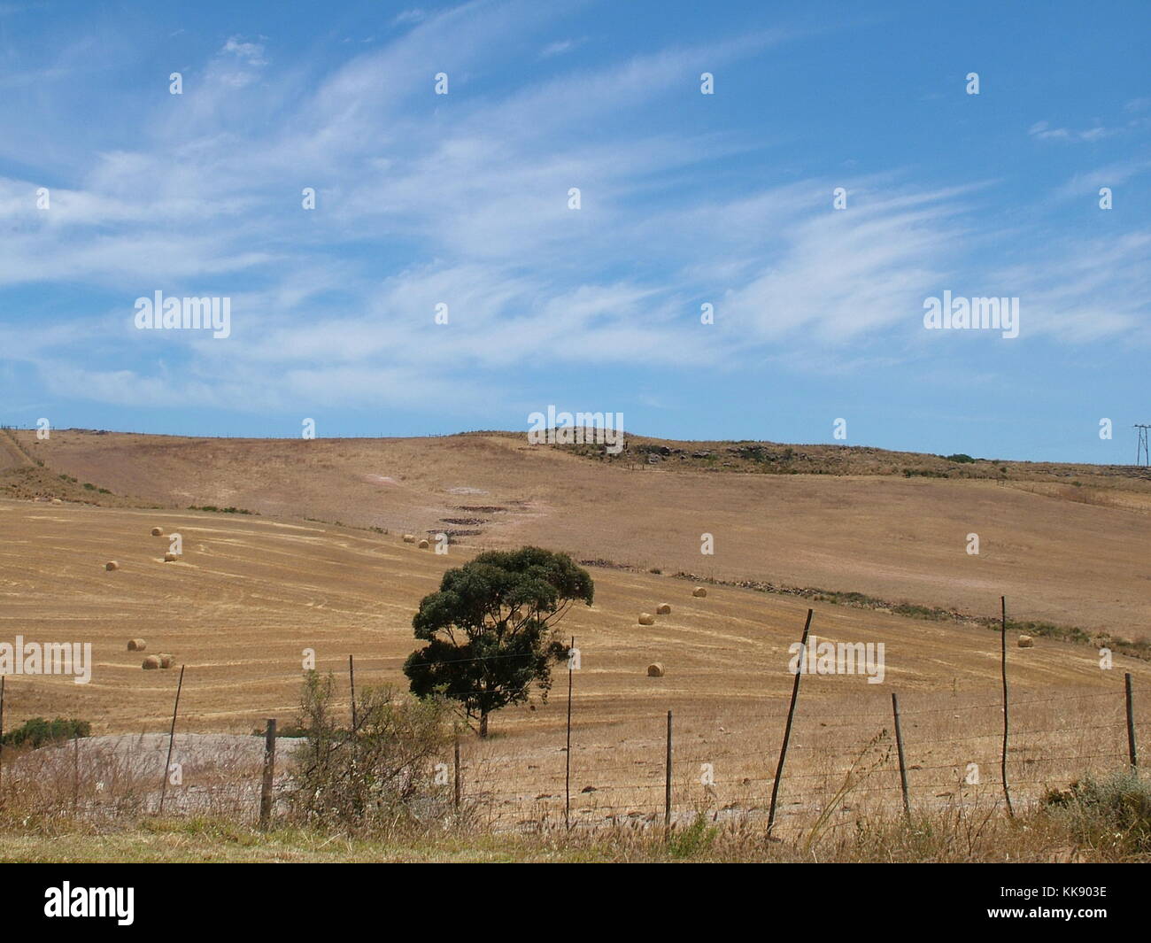 Farm field near Heidelberg on the Western Cape Province, South Africa ...
