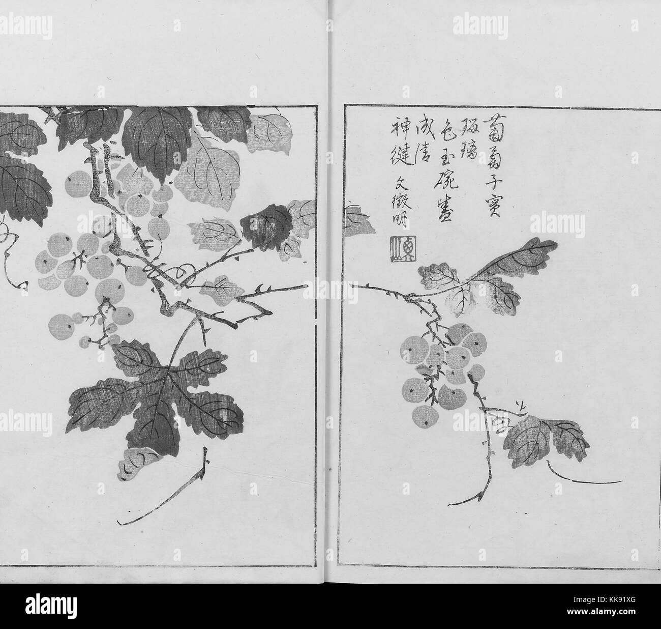 Sorimachi 409 hi-res stock photography and images - Alamy