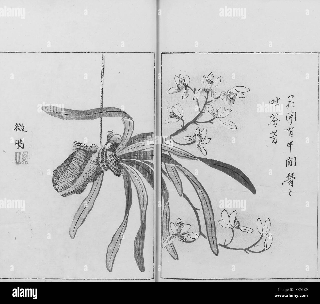 Pages from an ancient Japanese book titled Sorimachi 409, featuring ...