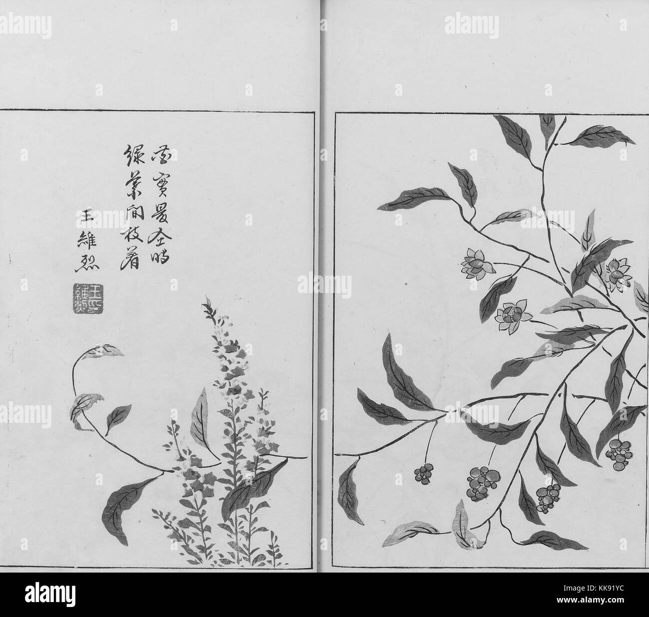 Pages from an ancient Japanese book titled Sorimachi 409, featuring ...