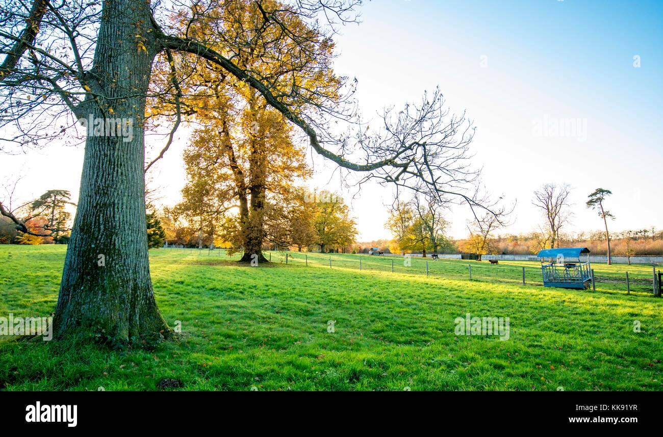 Palace of Versailles - Queen's Hamlet is a surprising beautiful setting ...