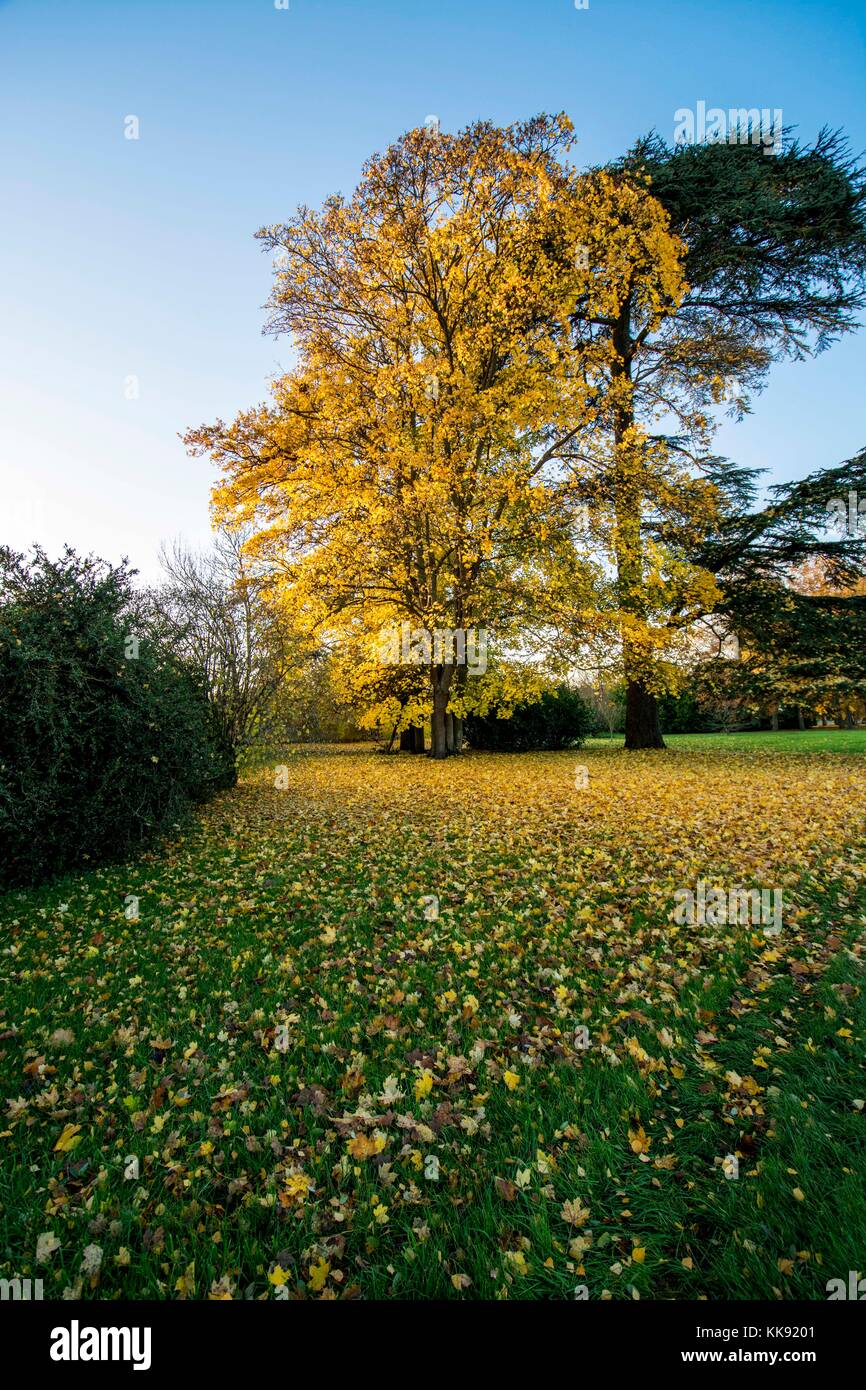 Palace of Versailles - Queen's Hamlet is a surprising beautiful setting ...