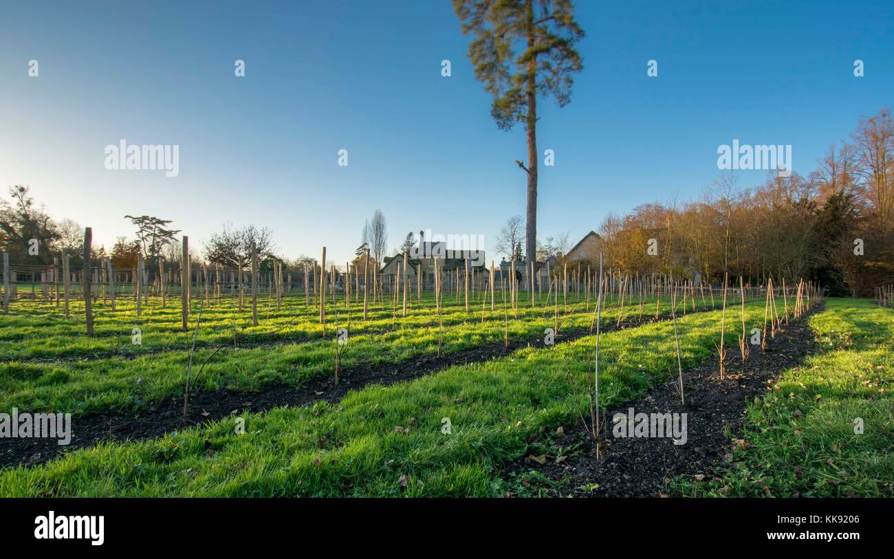 Palace of Versailles - Queen's Hamlet is a surprising beautiful setting ...