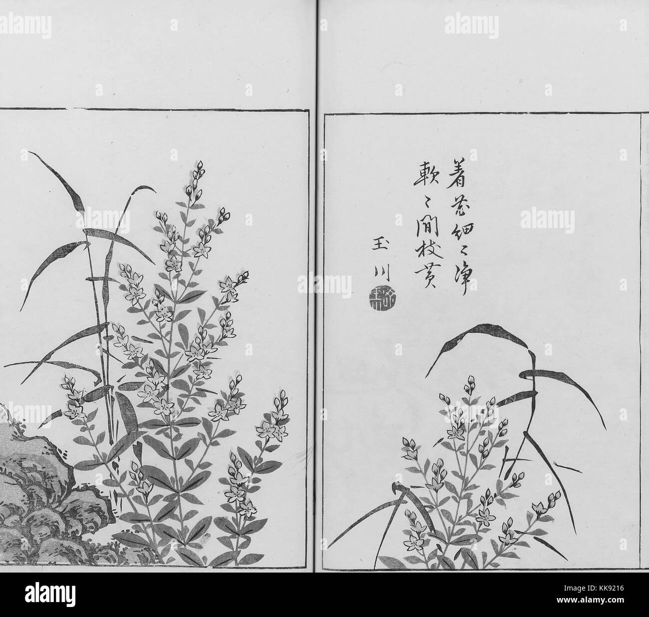 Pages from an ancient Japanese book titled Sorimachi 409, featuring ...