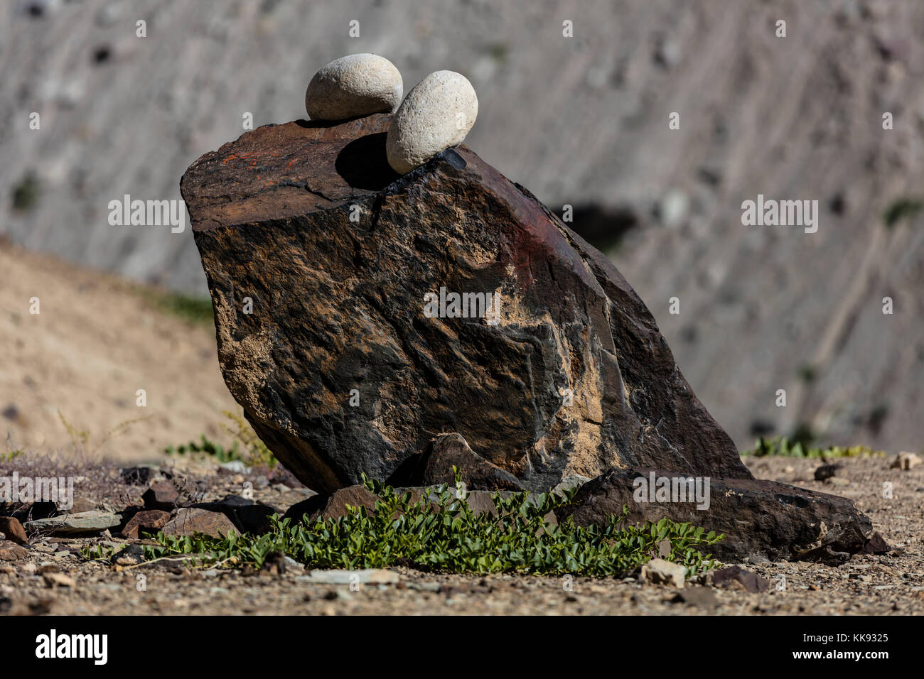 A IGNEOUS ROCK in the ZANSKAR RIVER GORGE below Nyerak village ...