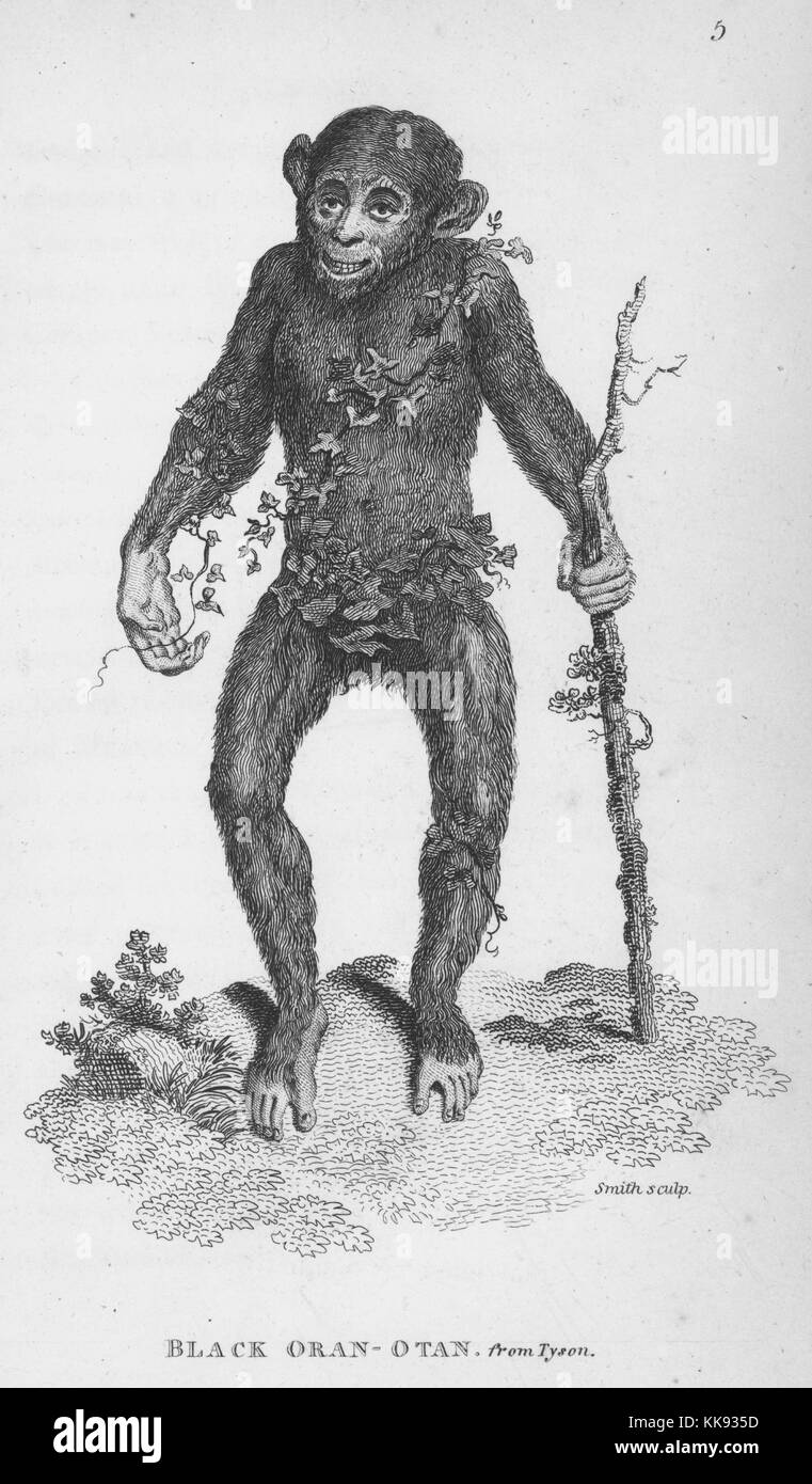 Two vines Black and White Stock Photos & Images - Alamy