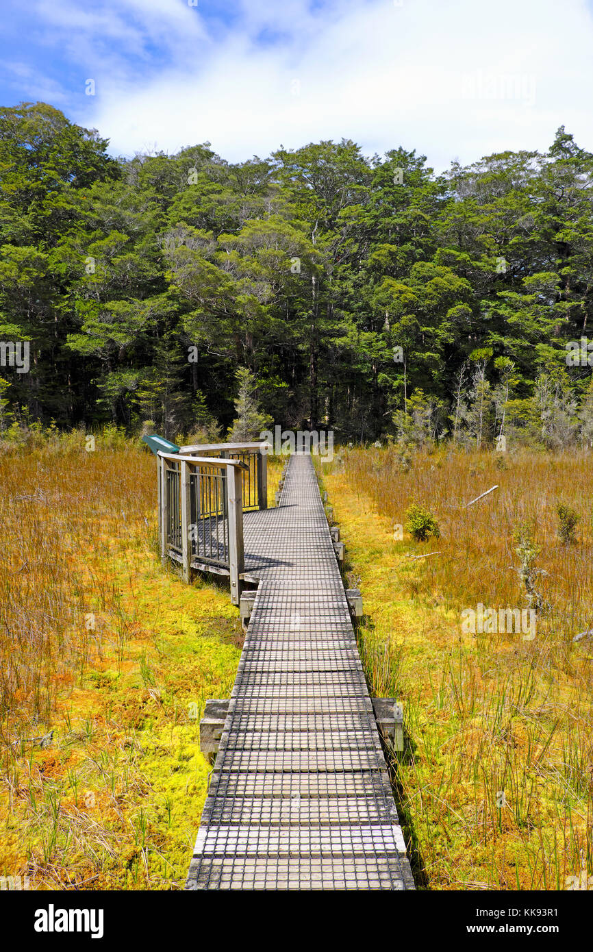 The kettle bog scene along the Kepler Track going from Rainbow Reach to ...