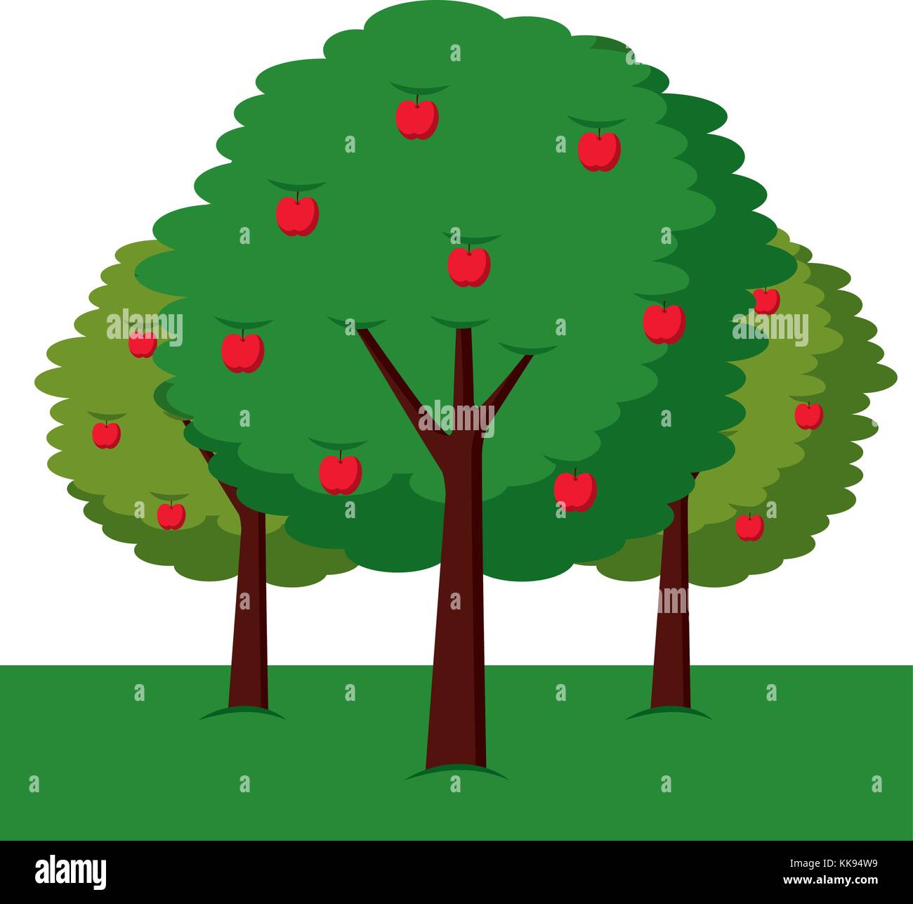 three apple trees bush foliage fruit natural Stock Vector Image & Art ...
