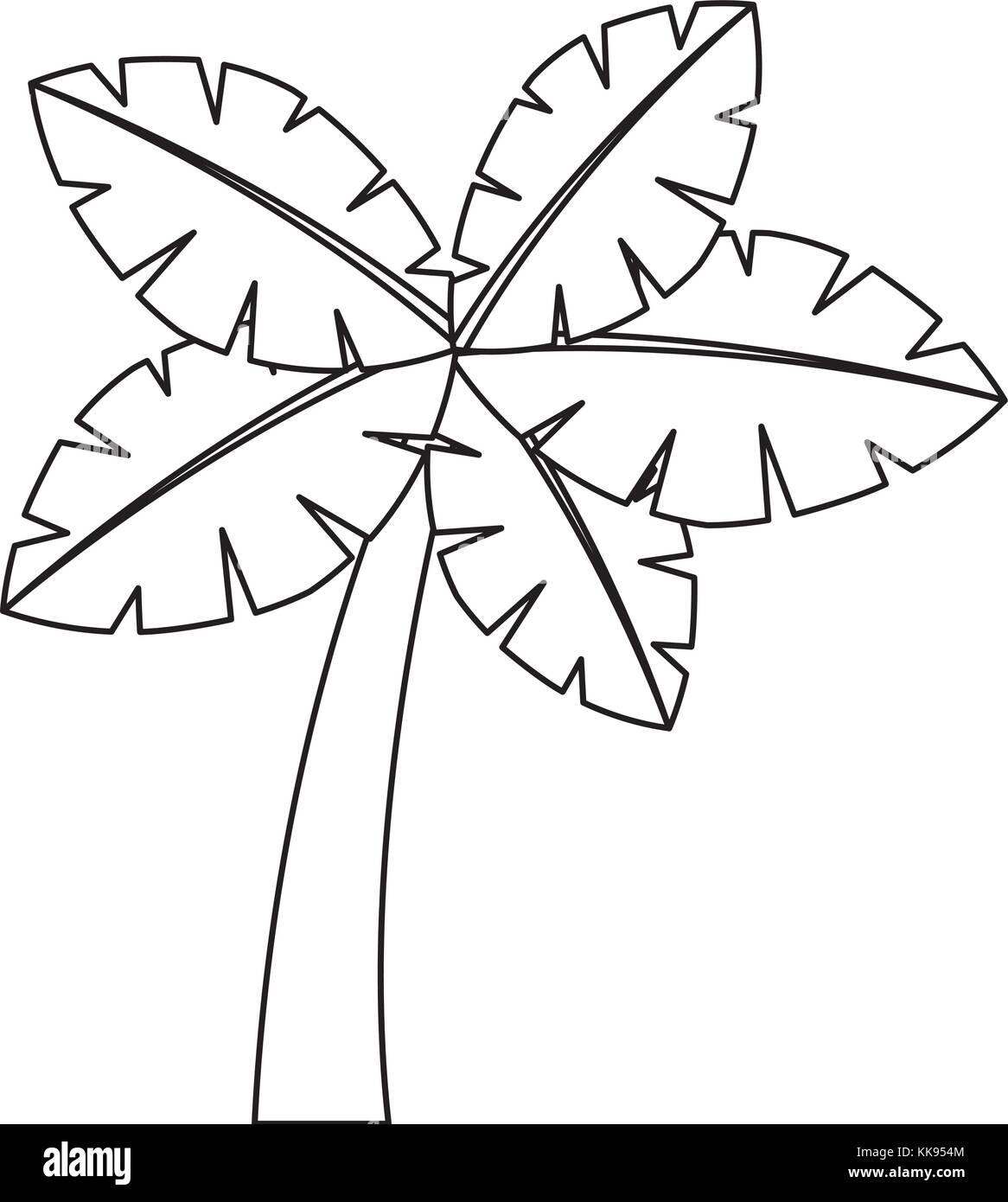 tropical palm tree exotic plant trunk nature Stock Vector Image & Art ...