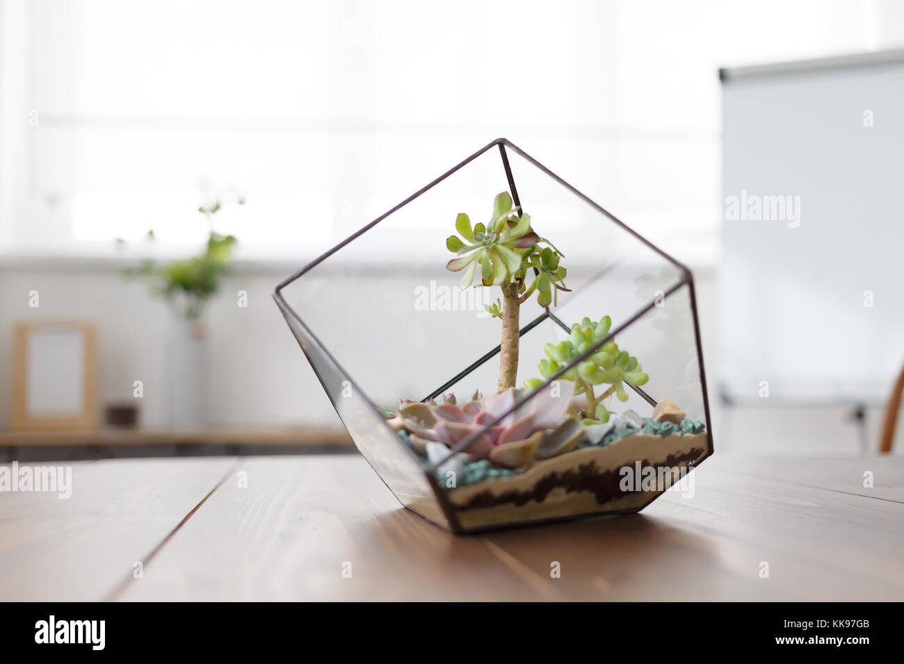 Image of florarium with succulent stones Stock Photo - Alamy