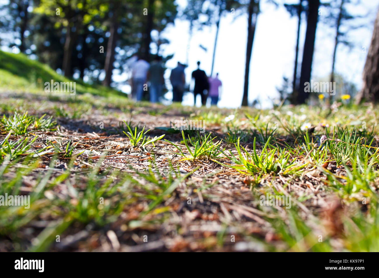 A group of friends leaving a park after a day off Stock Photo - Alamy