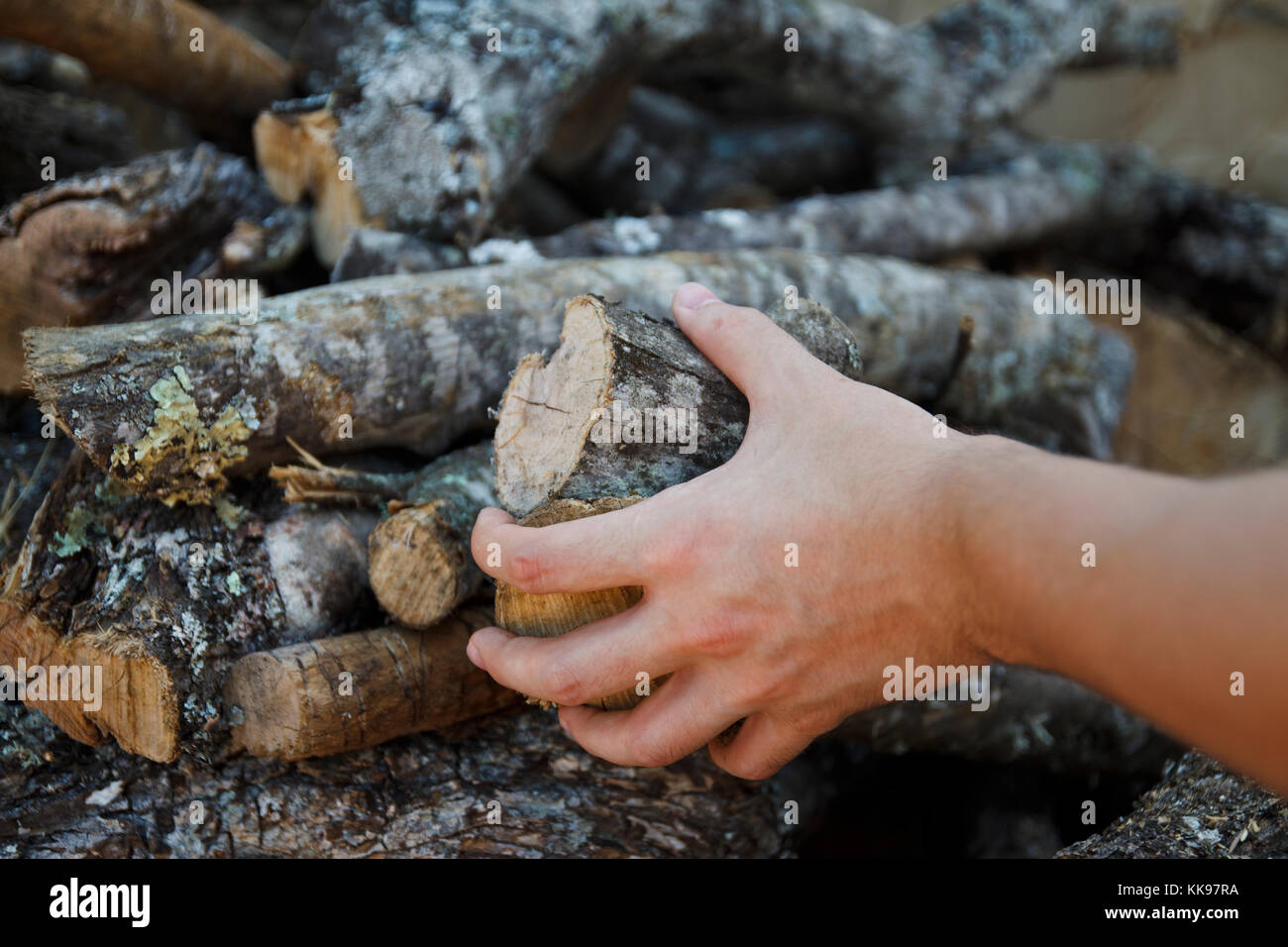 Human male hand getting a wood from a pile Stock Photo - Alamy