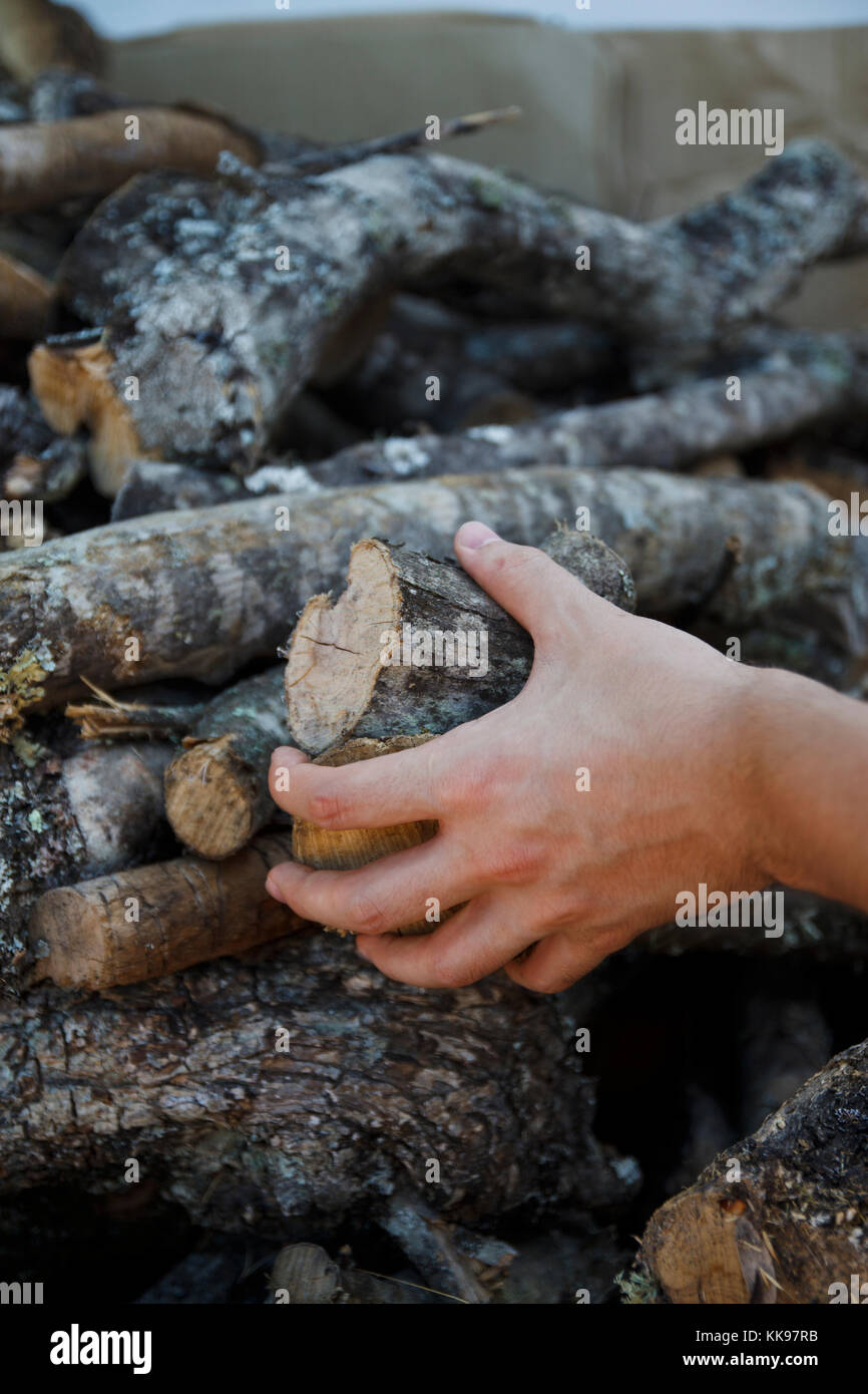 Human male hand getting a wood from a pile Stock Photo - Alamy