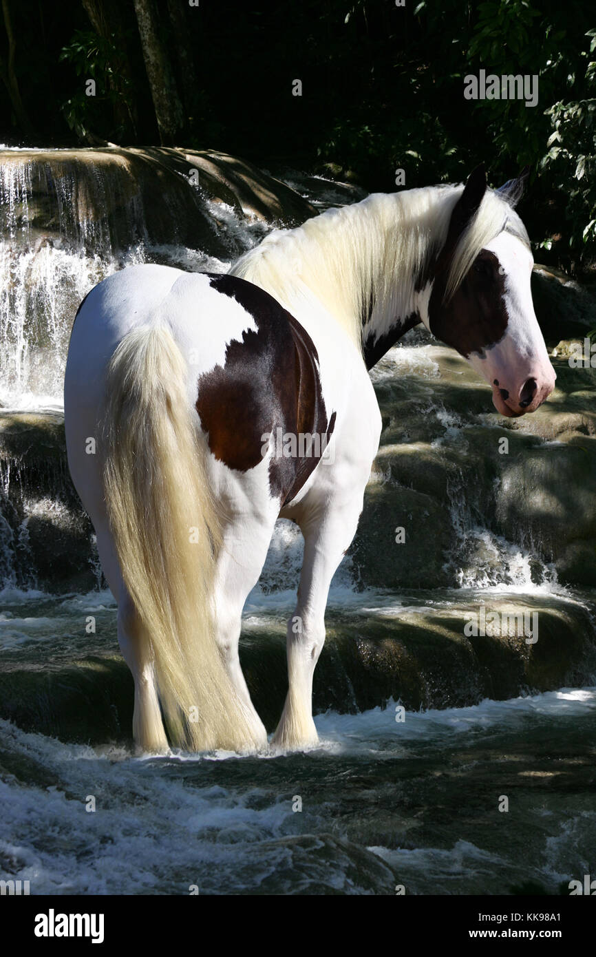 Back of a waterfall hi-res stock photography and images - Alamy