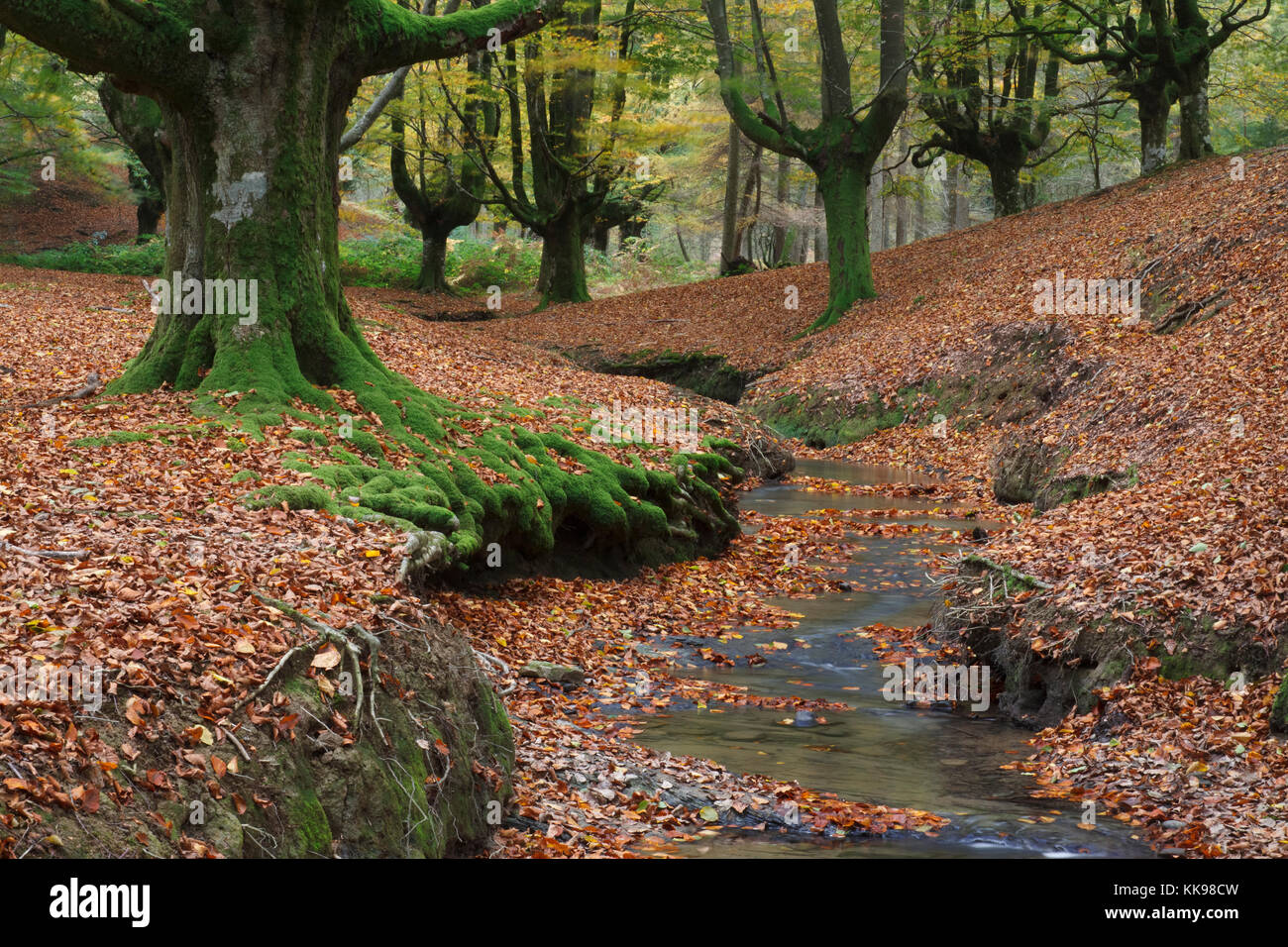 Gorbea Natural Park High Resolution Stock Photography and Images - Alamy