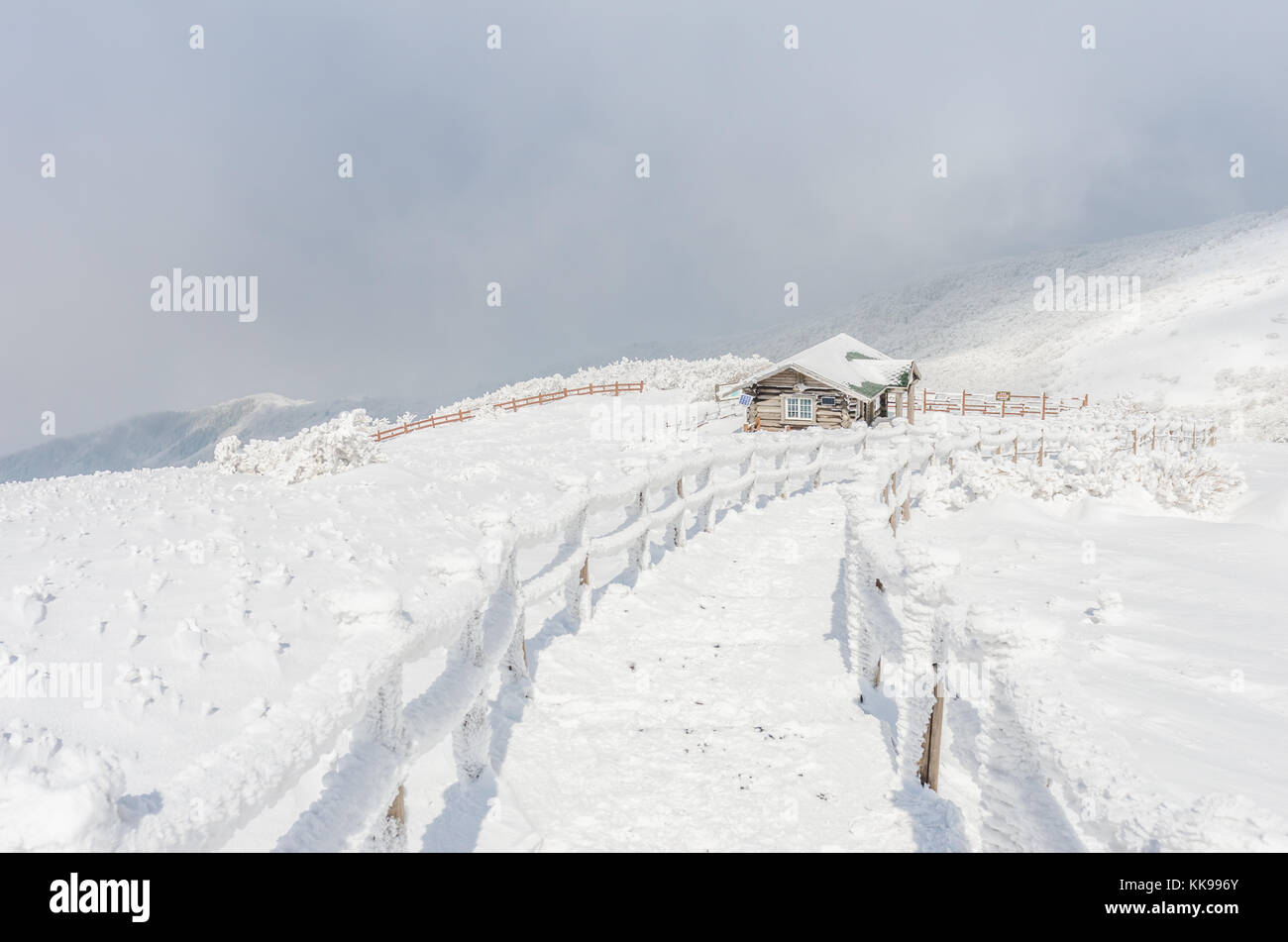 winter landscape in the mountains with falling snow in Seoul,South ...