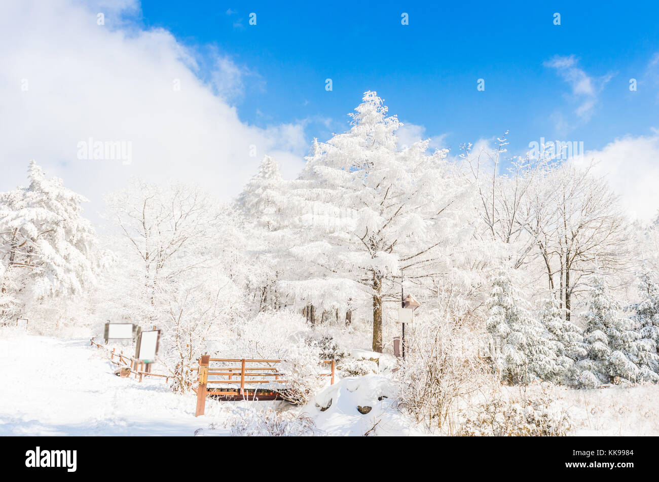 winter landscape in the mountains with falling snow in Seoul,South ...