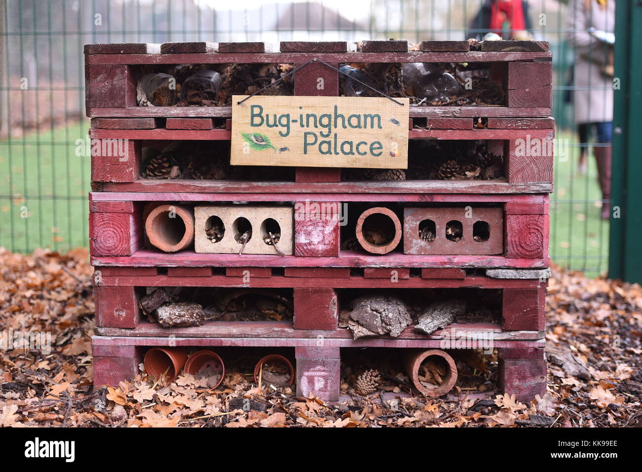 Bug ingham hi-res stock photography and images - Alamy