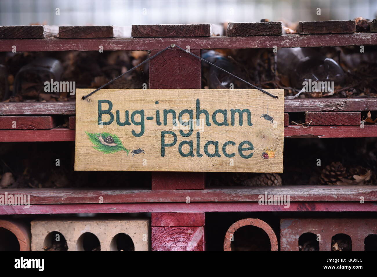 Bug ingham hi-res stock photography and images - Alamy