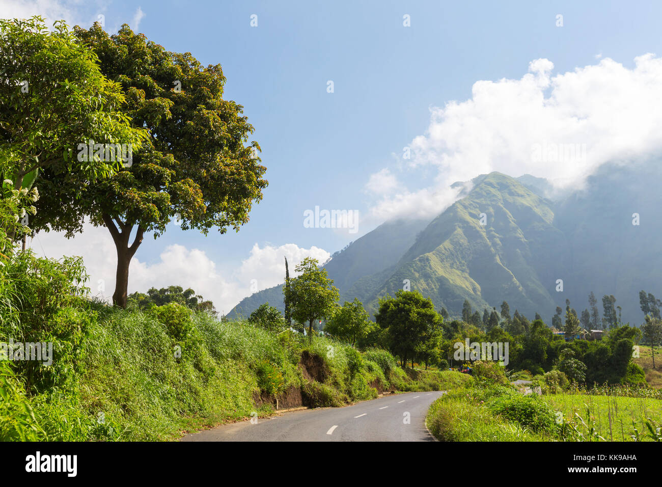 Java landscapes Stock Photo - Alamy